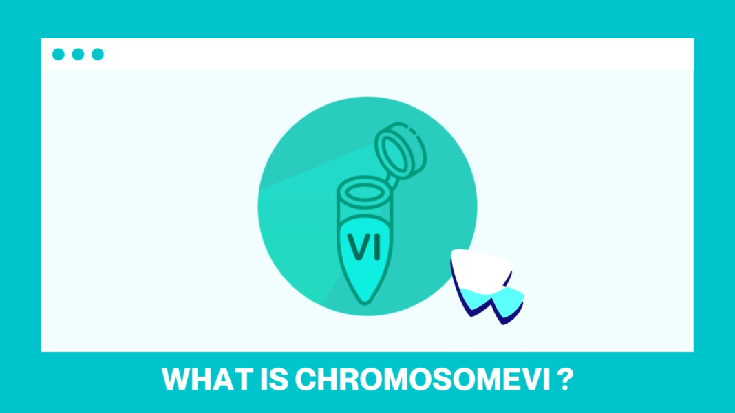 A deep dive into Chromosome VI - ChromosomeVI